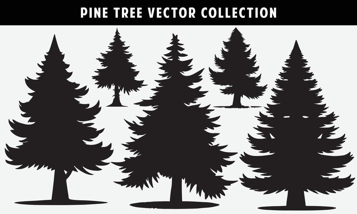 Vintage Pine Tree Vector Art, Icons, and Graphics for Free Download