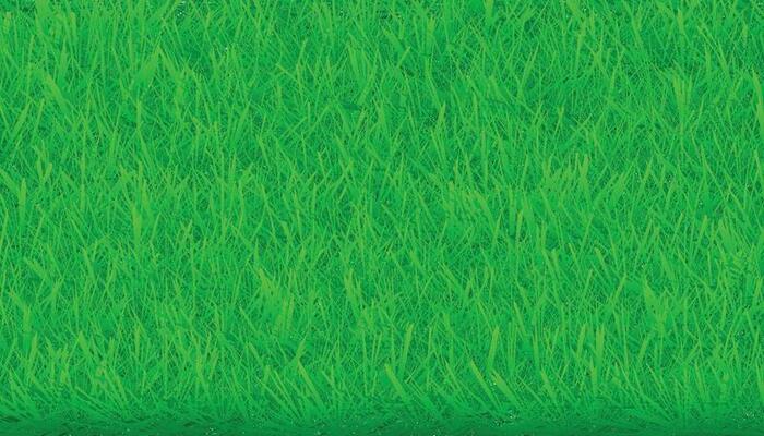 Grass Texture Vector Art Icons And Graphics For Free Download