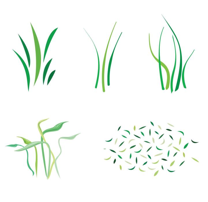 Page 2 | Grass Weeds Vector Art, Icons, and Graphics for Free Download