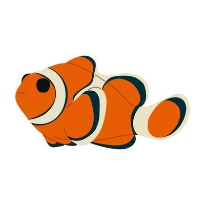 Nemo Fish Vector Art, Icons, and Graphics for Free Download