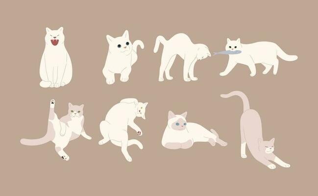 White Cat Vector Art, Icons, and Graphics for Free Download