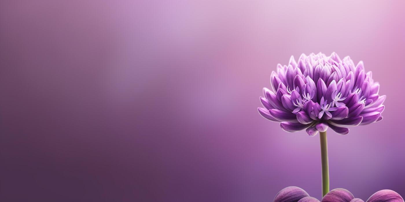 Flower Wallpaper Stock Photos, Images and Backgrounds for Free Download