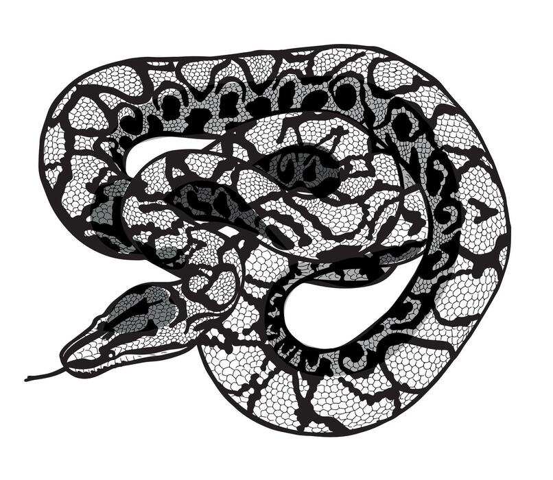 Page 2 | Python Snake Vector Art, Icons, and Graphics for Free Download