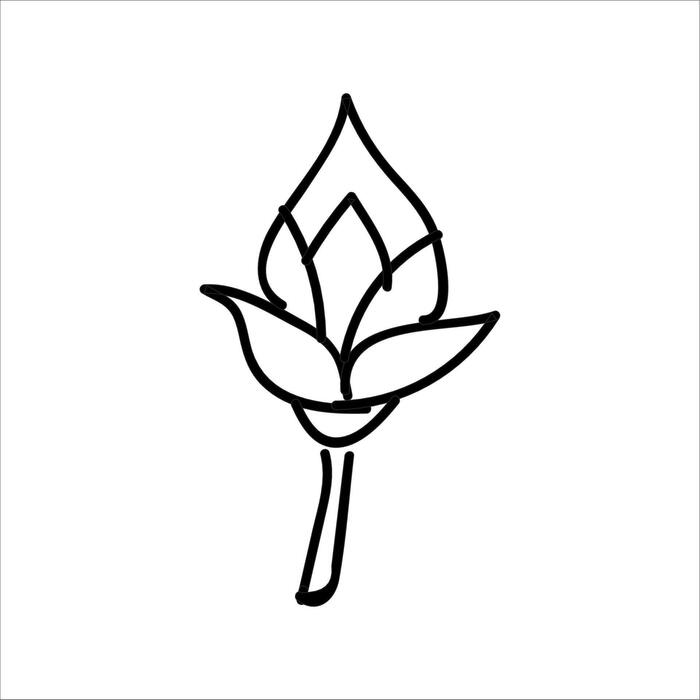 Black Line Flower Vector Art, Icons, and Graphics for Free Download