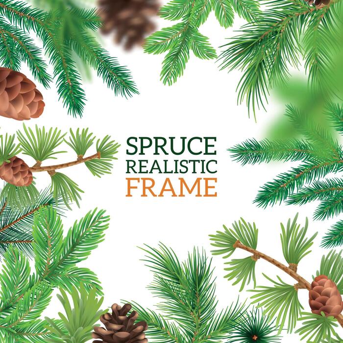 Pine Tree Frame Vector Art, Icons, and Graphics for Free Download
