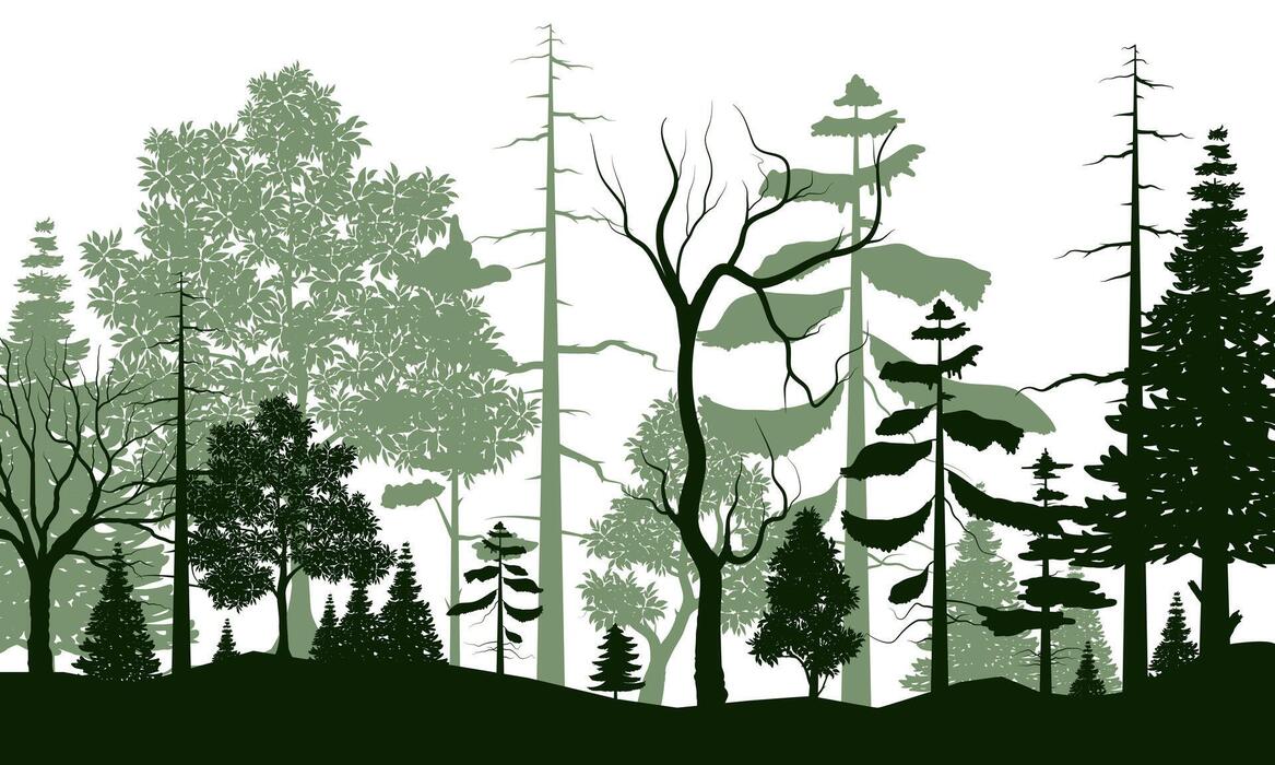 Forest Trees Vector Art, Icons, and Graphics for Free Download