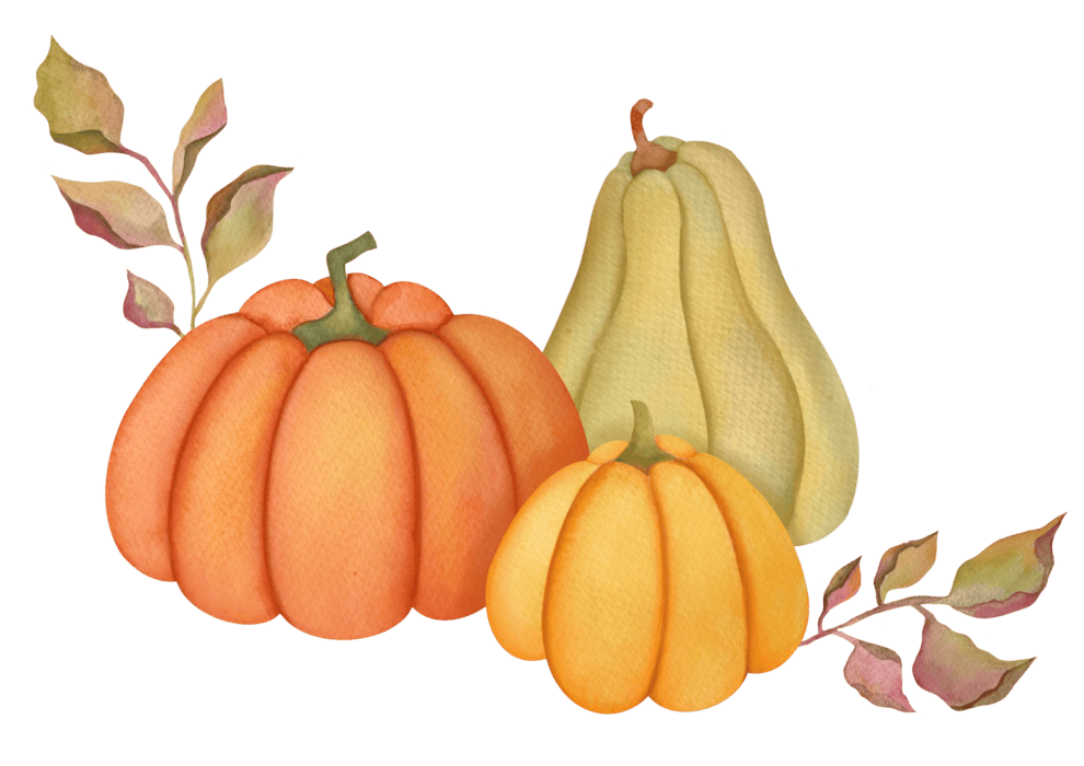 Fall Clipart PNGs for Free Download