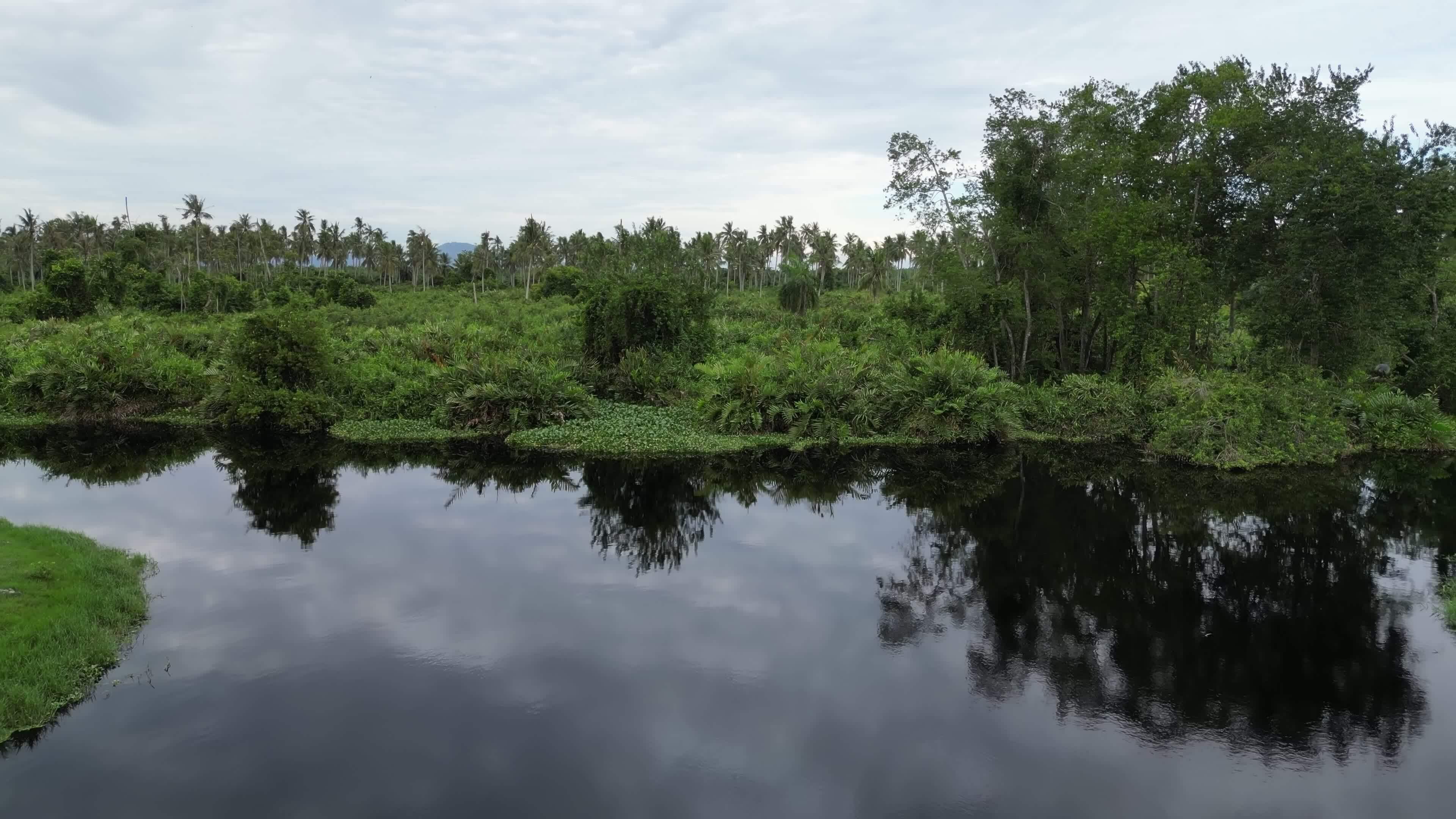 Serene dark river surrounded by lush greenery 26701860 Stock Video at ... Serene dark river surrounded by lush greenery 26701860 Stock Video at ...