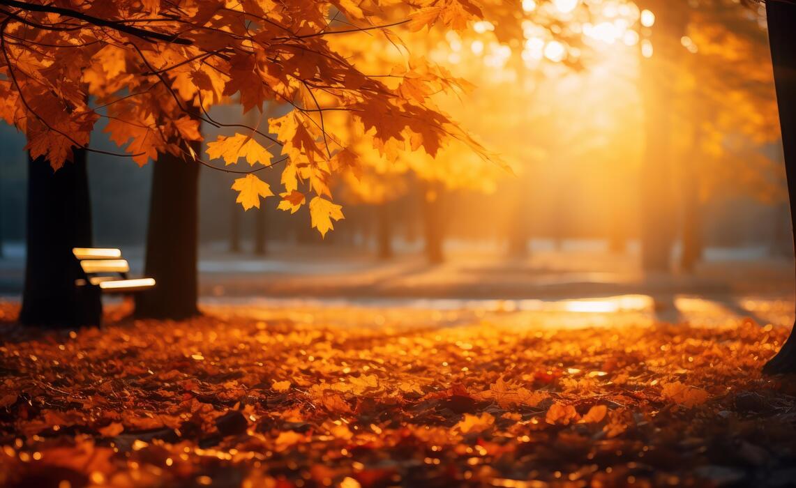 Autumn Stock Photos, Images and Backgrounds for Free Download
