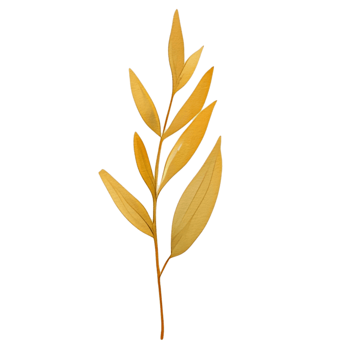 Eucalyptus Leaves Gold PNGs for Free Download