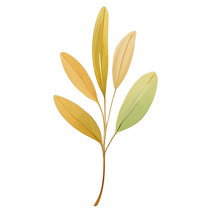 Eucalyptus Leaves Gold PNGs for Free Download