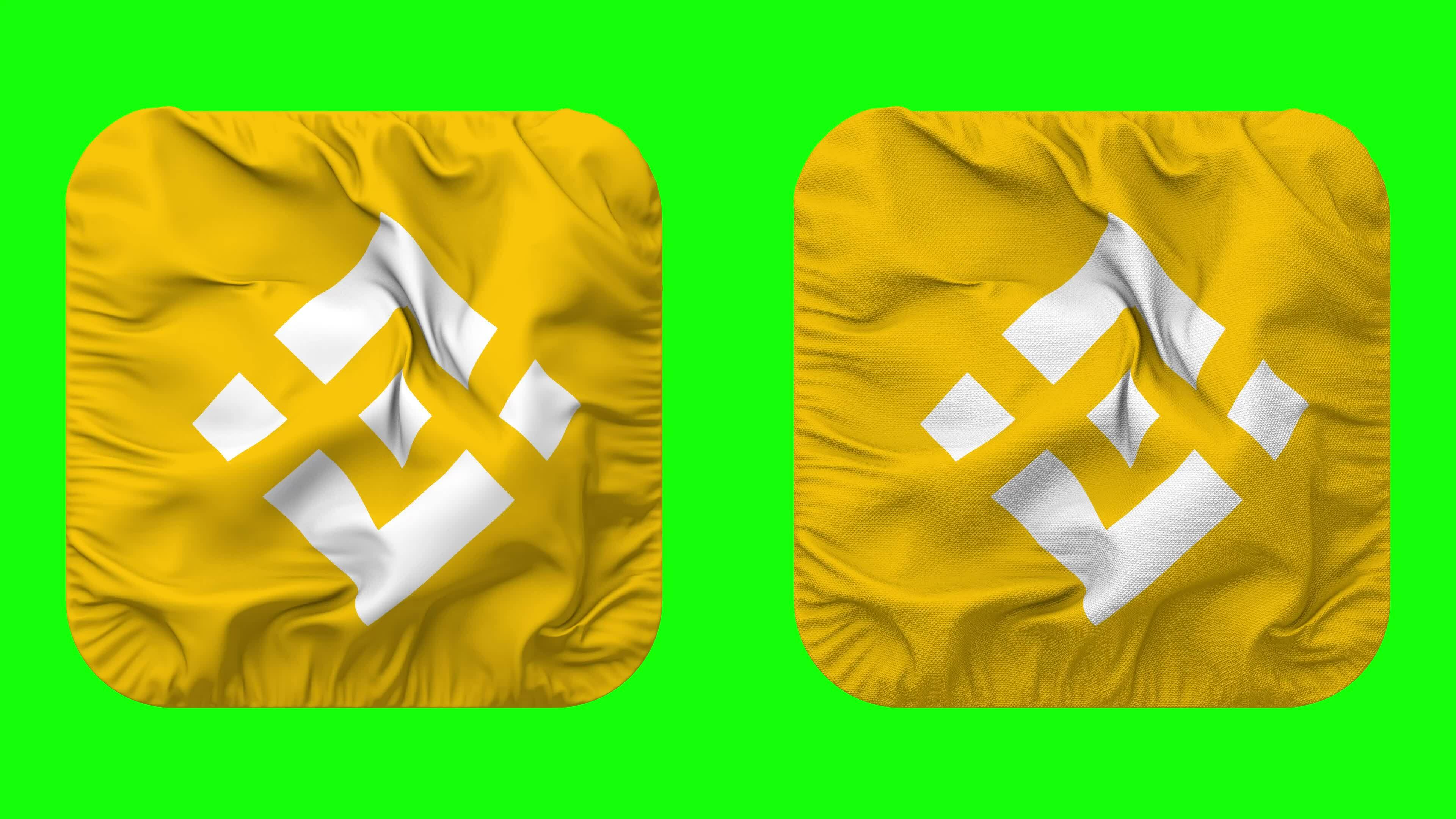 Binance Flag Icon in Squire Shape Isolated with Plain and Bump Texture, 3D Rendering, Green ...