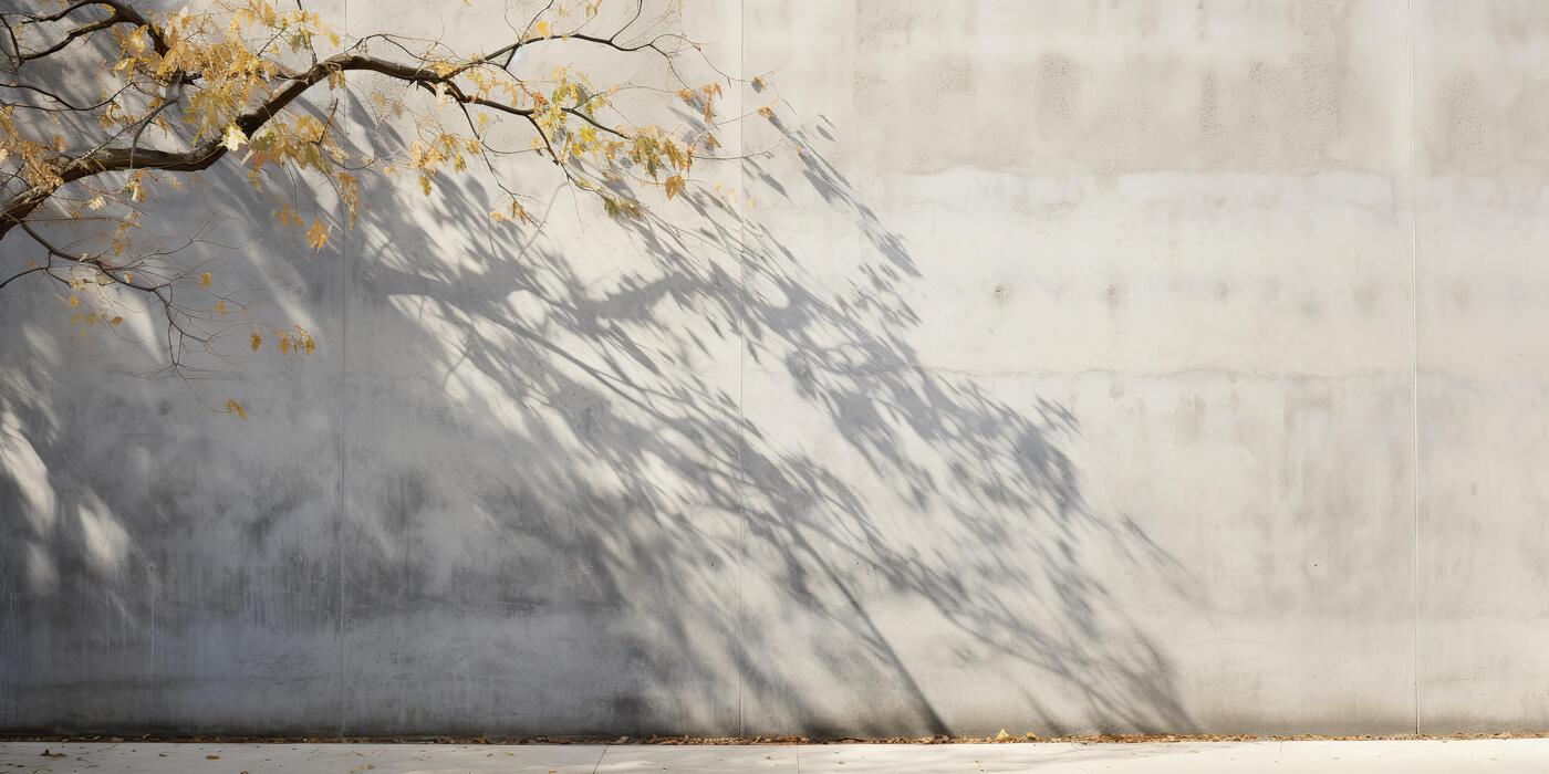 Tree With Shadow Stock Photos, Images and Backgrounds for Free Download