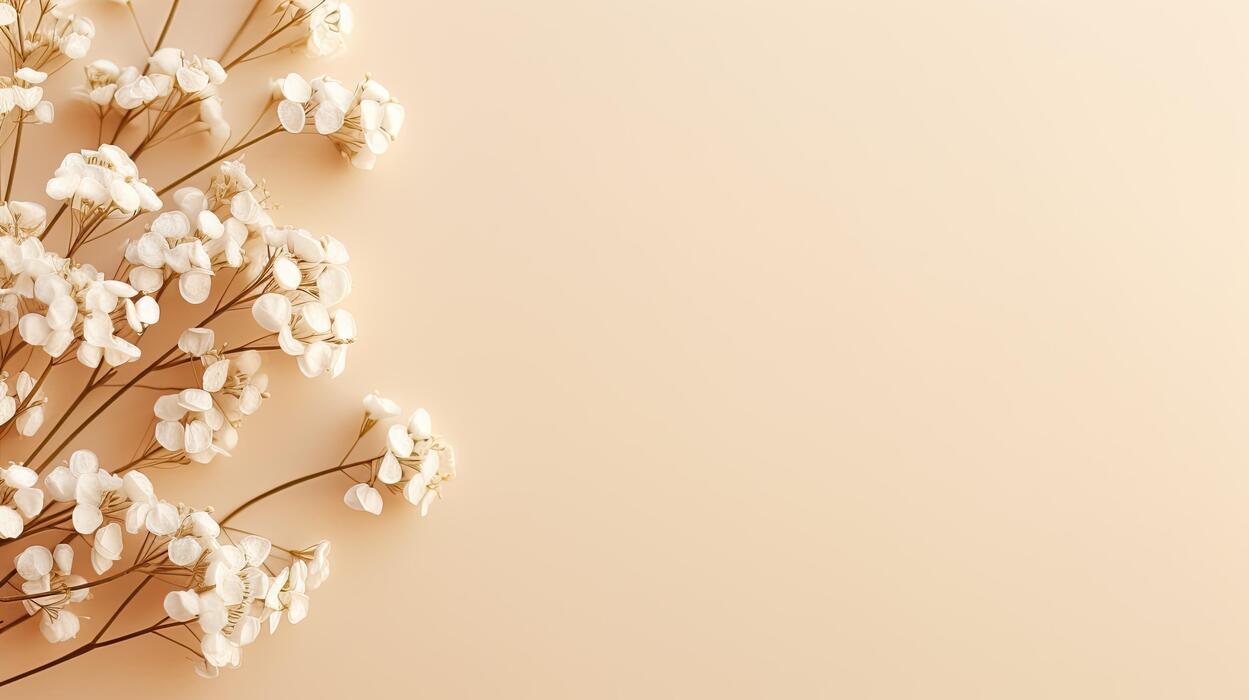 Minimalist Flower Background Stock Photos, Images and Backgrounds for ...
