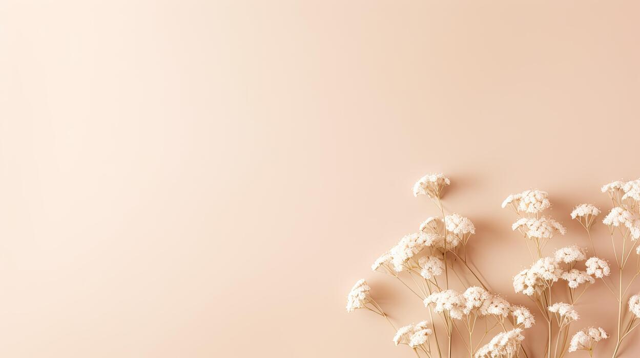 Minimalist Flower Background Stock Photos, Images and Backgrounds for ...