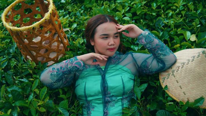 Bokep Indo Hot Stock Video Footage for Free Download