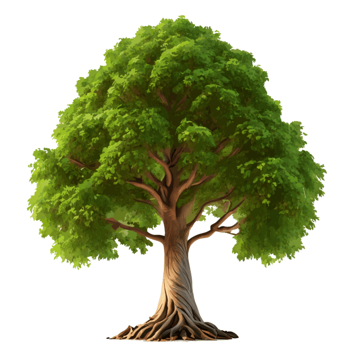 Tree PNGs for Free Download