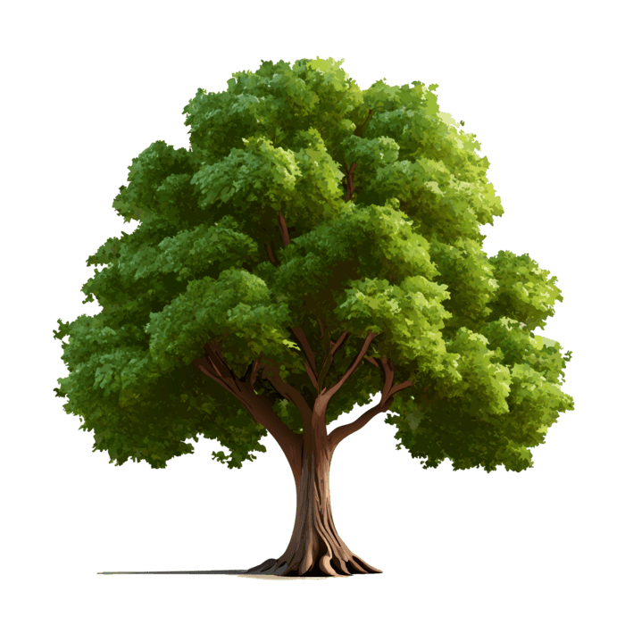 Tree Animation PNGs for Free Download