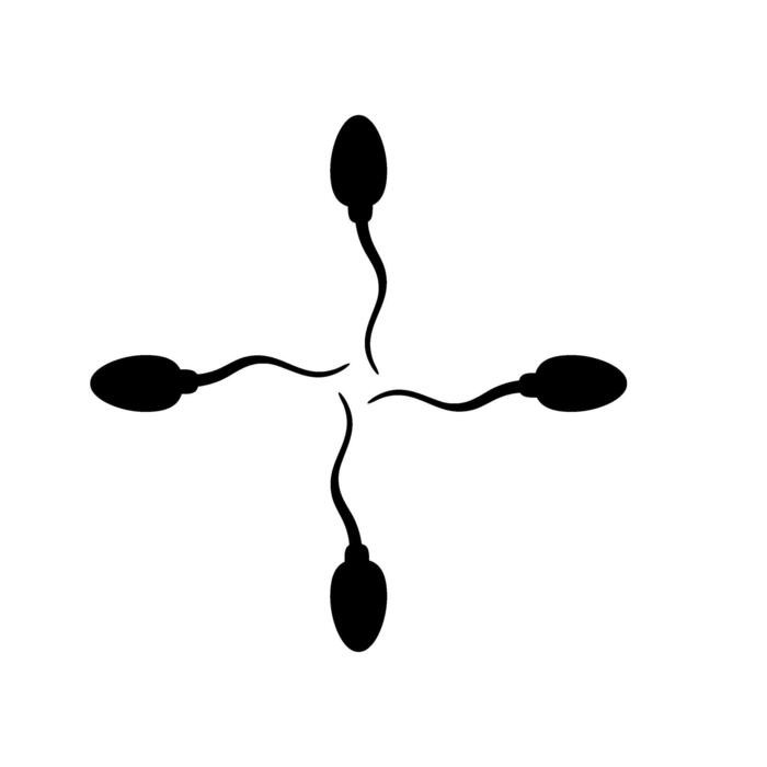 Procreate App Vector Art, Icons, and Graphics for Free Download