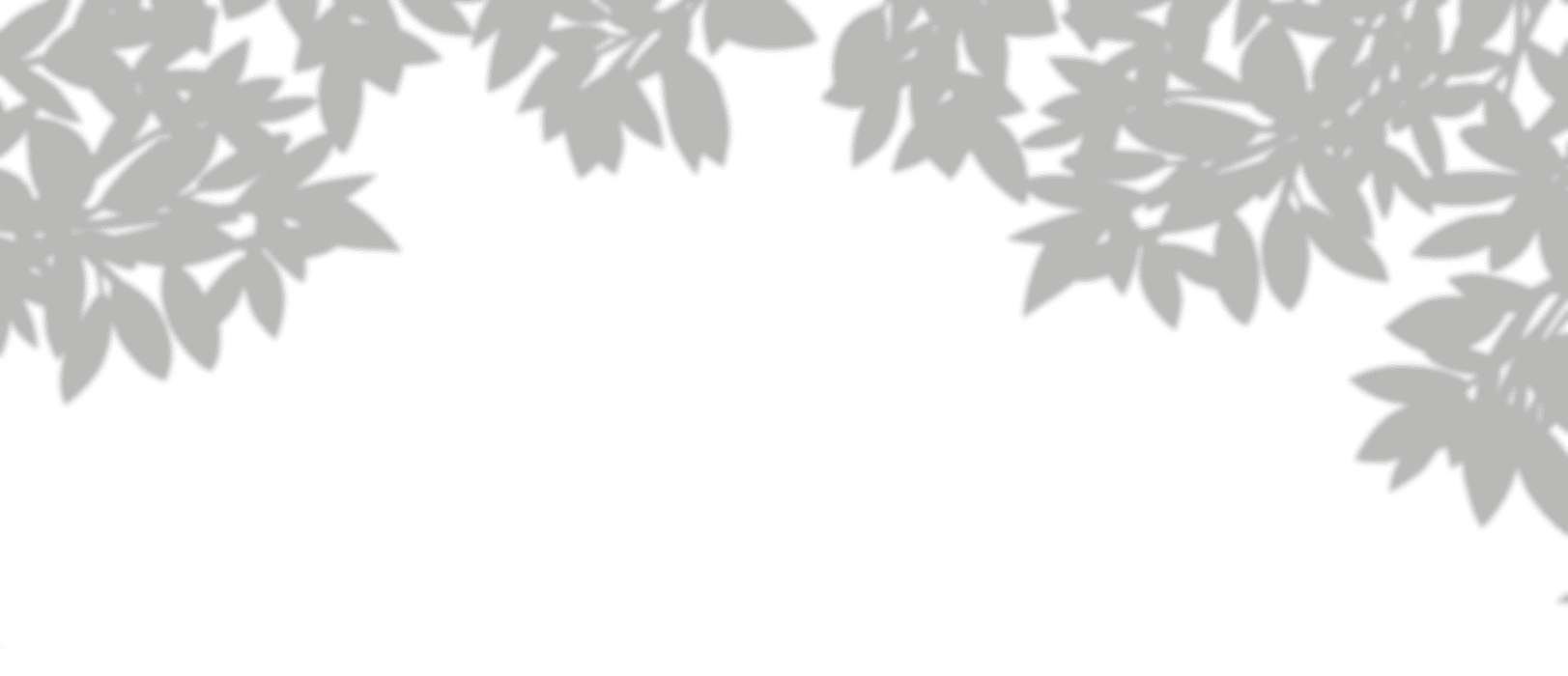 Leaves Shadow PNGs for Free Download