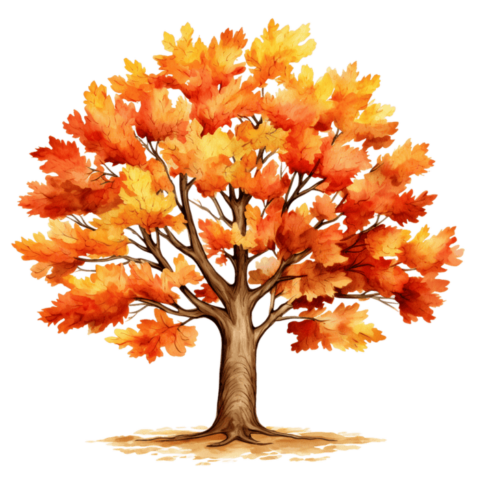 Autumn Tree Png