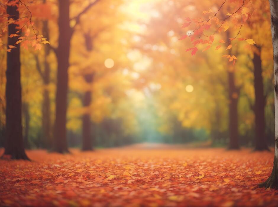 Fall Autumn Background Stock Photos, Images and Backgrounds for Free ...