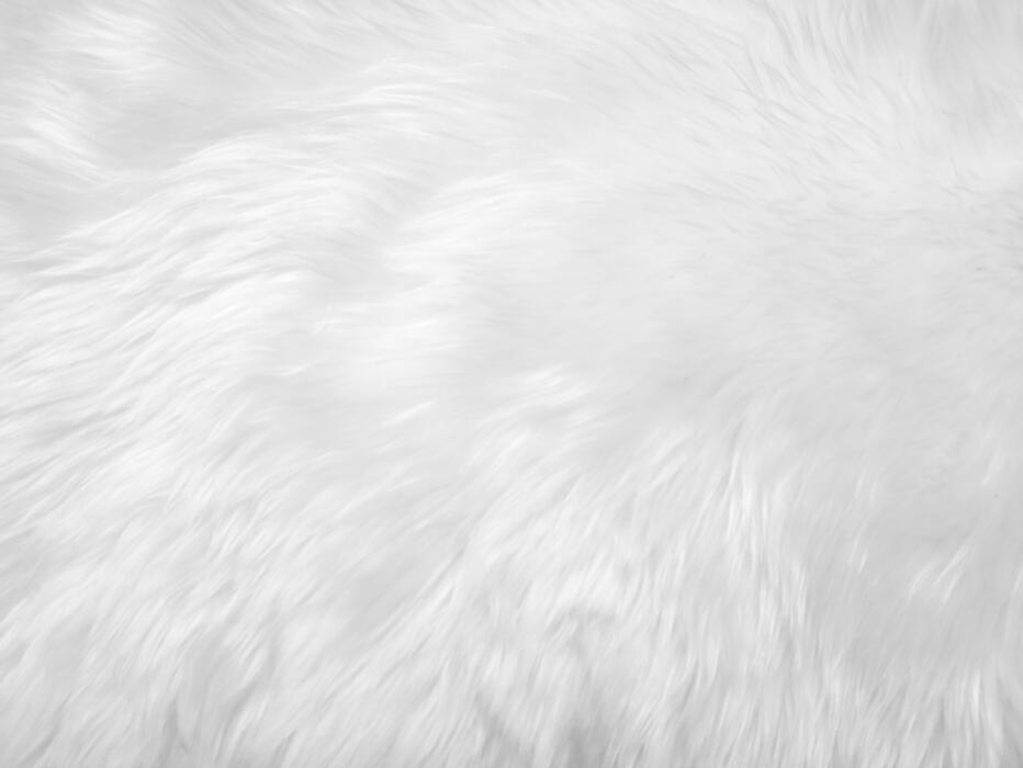 White Fur Background Stock Photos, Images and Backgrounds for Free Download