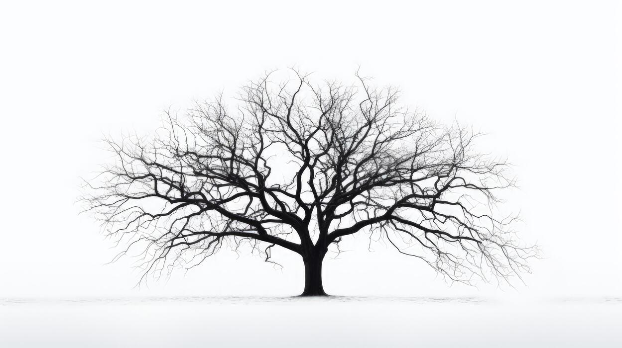 Tree Without Leaves Stock Photos, Images and Backgrounds for Free Download