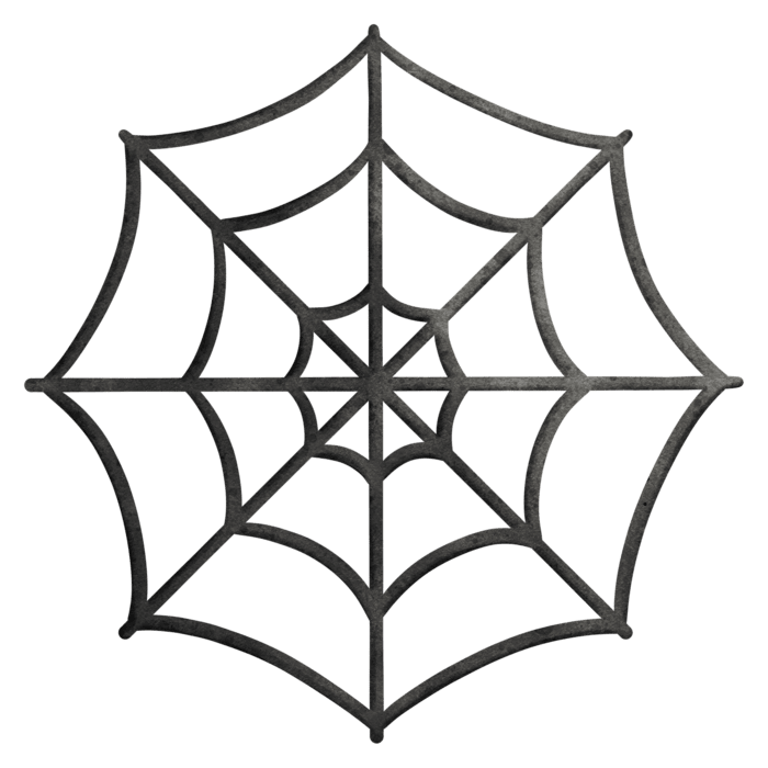3d Spider Web PNGs for Free Download