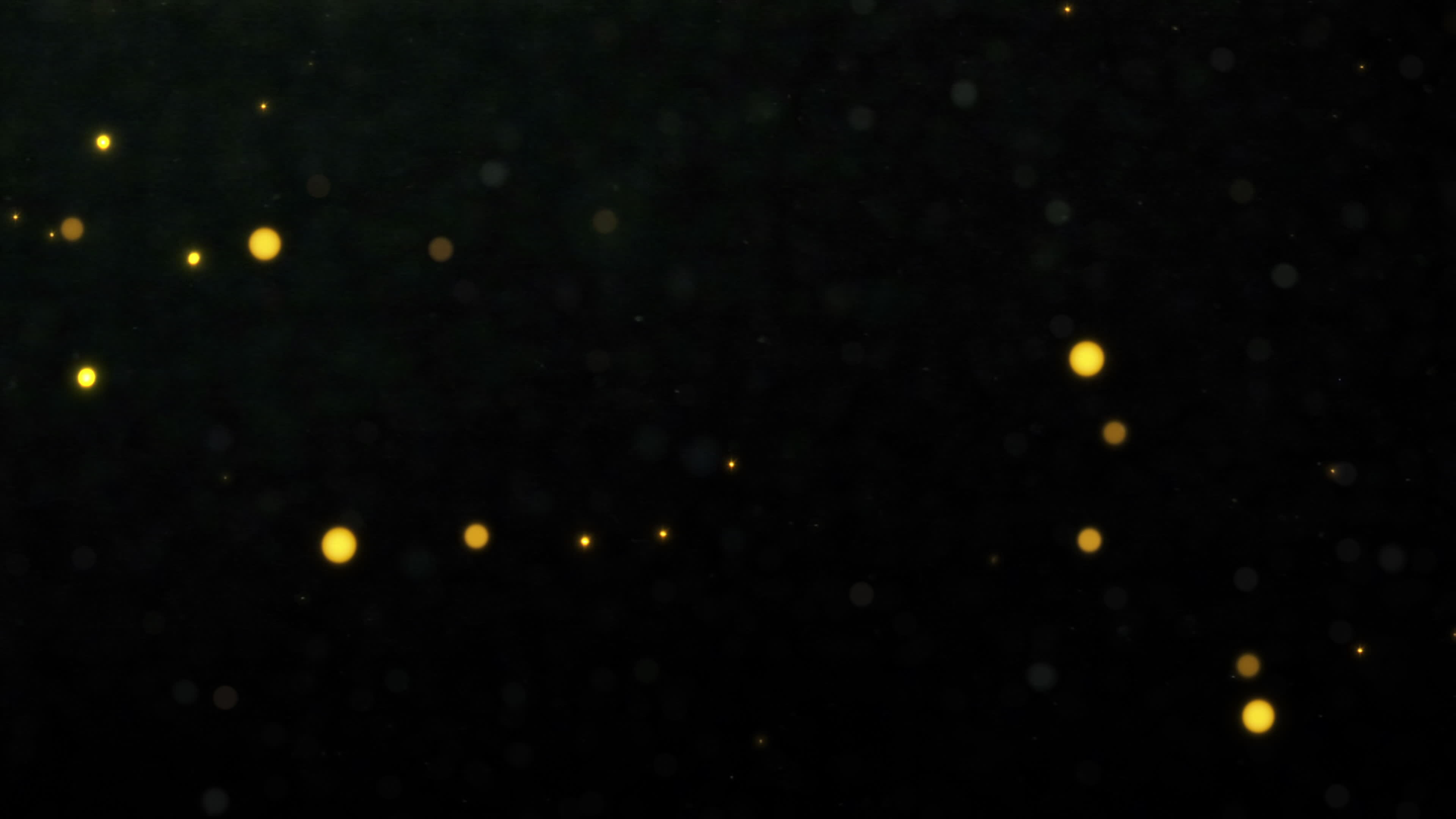 Abstract loop animation flickering glow gold bokeh particles flow ...