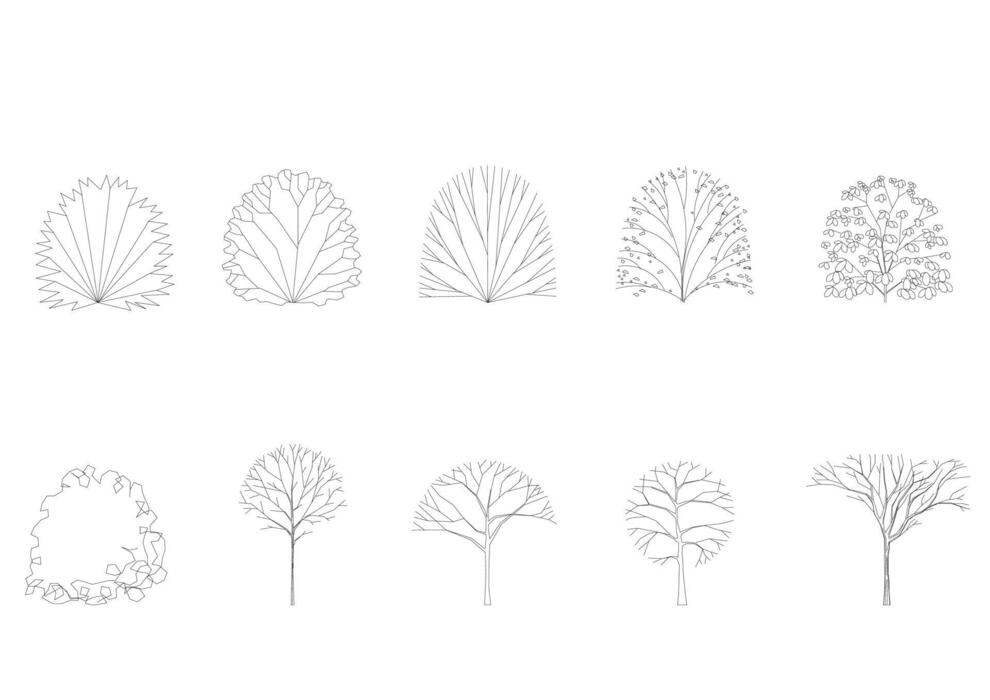 Tree Plan Architecture Vector Art, Icons, and Graphics for Free Download