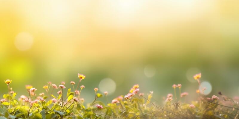 Spring Nature Background Stock Photos, Images and Backgrounds for Free ...