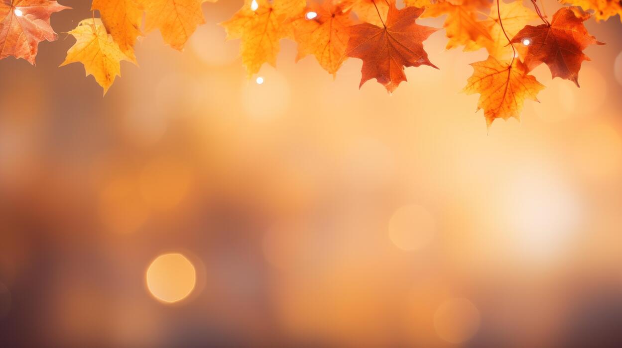 Fall Autumn Background Stock Photos, Images and Backgrounds for Free ...