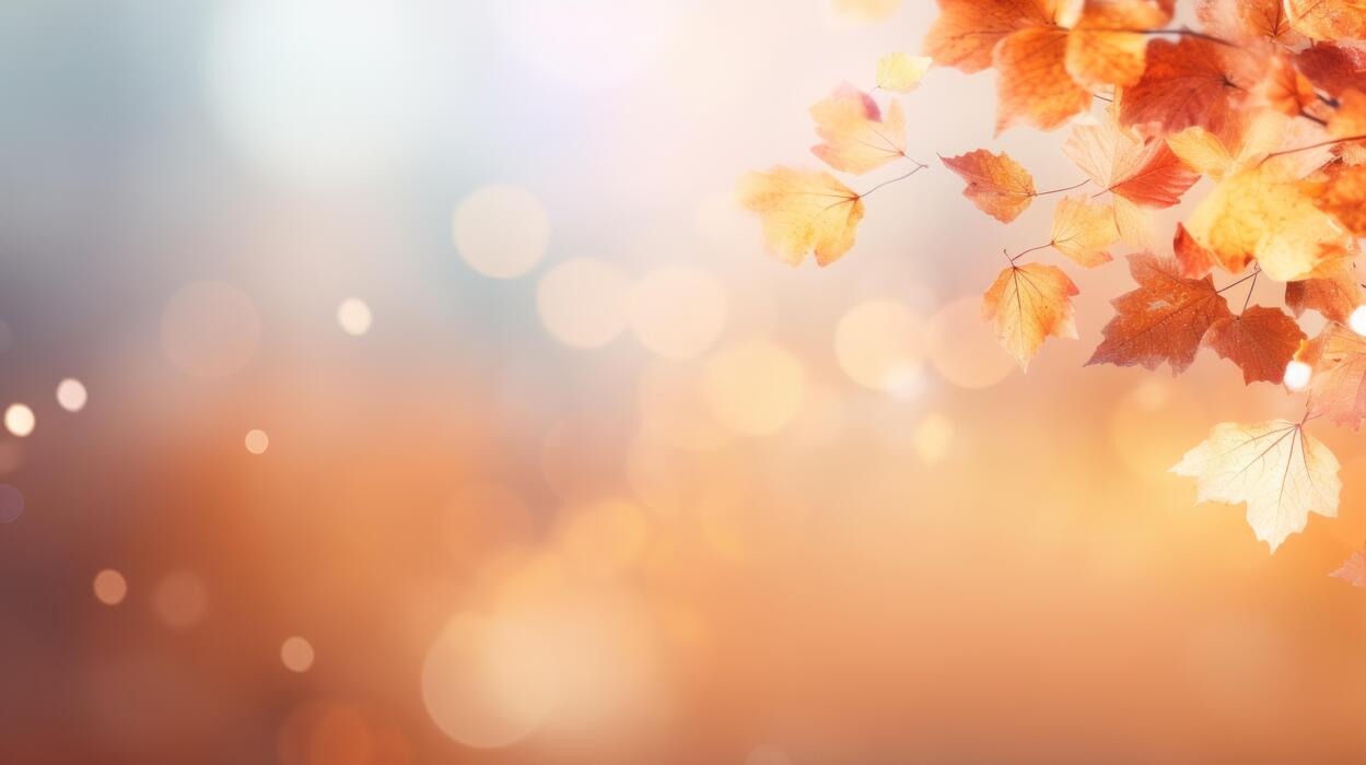 Fall Autumn Background Stock Photos, Images and Backgrounds for Free ...