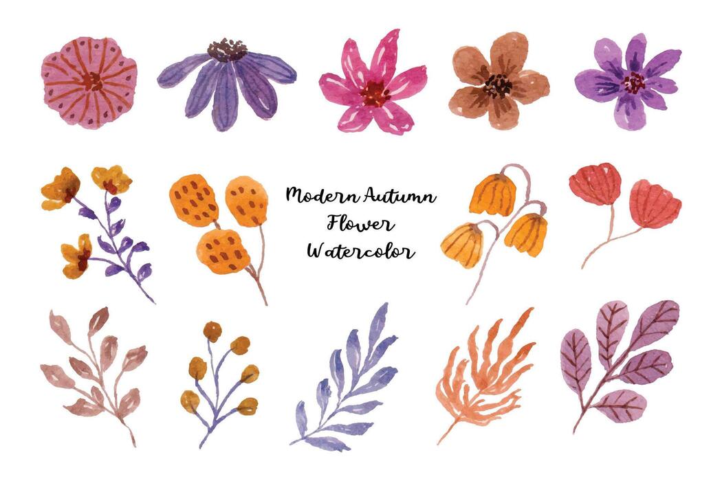 Watercolor Autumn Flowers Vector Art, Icons, and Graphics for Free Download