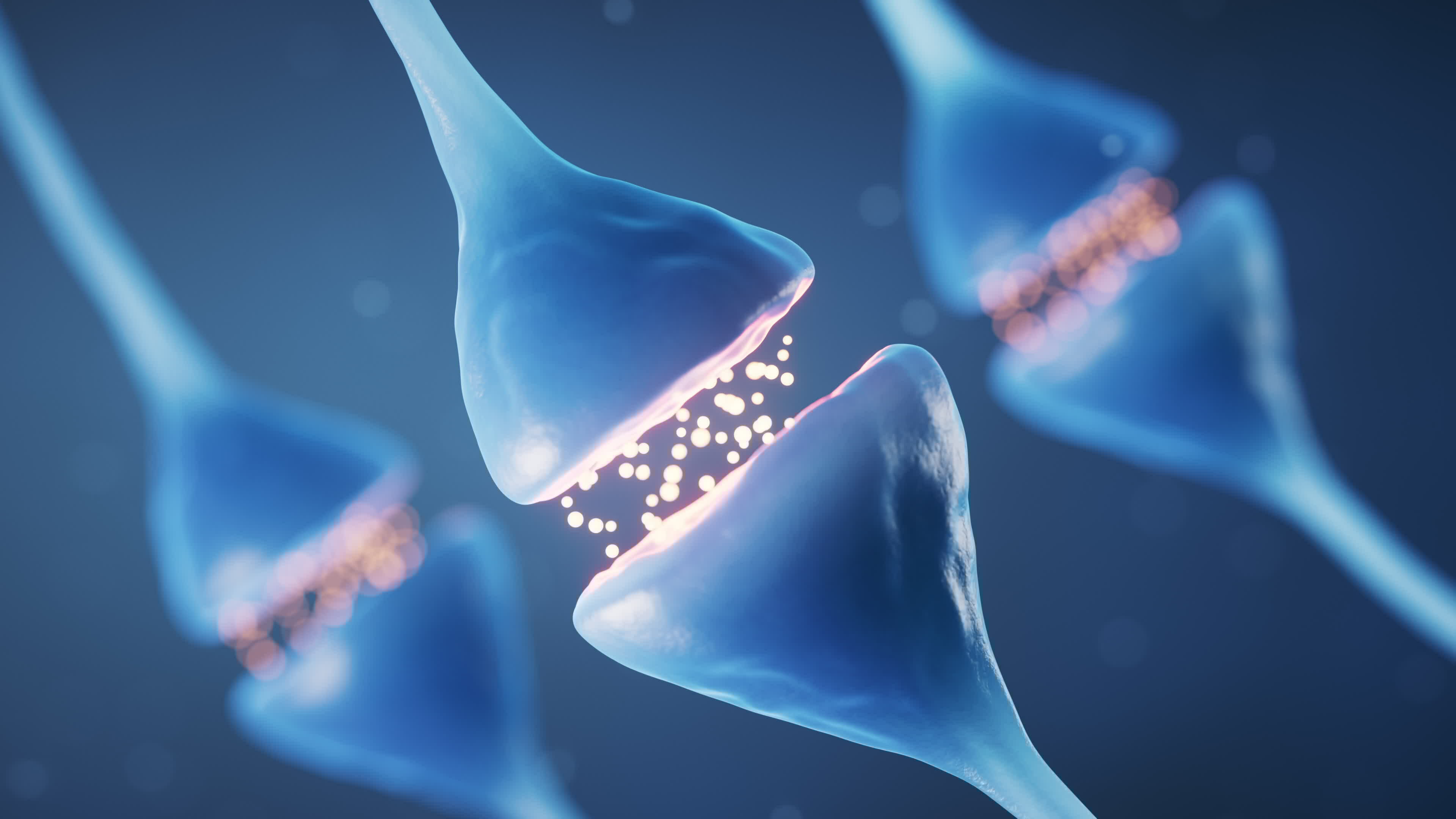 Neuron Synapse 3d Neuron Synapse 3d