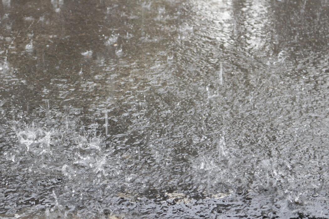 Rain Splash Stock Photos, Images and Backgrounds for Free Download