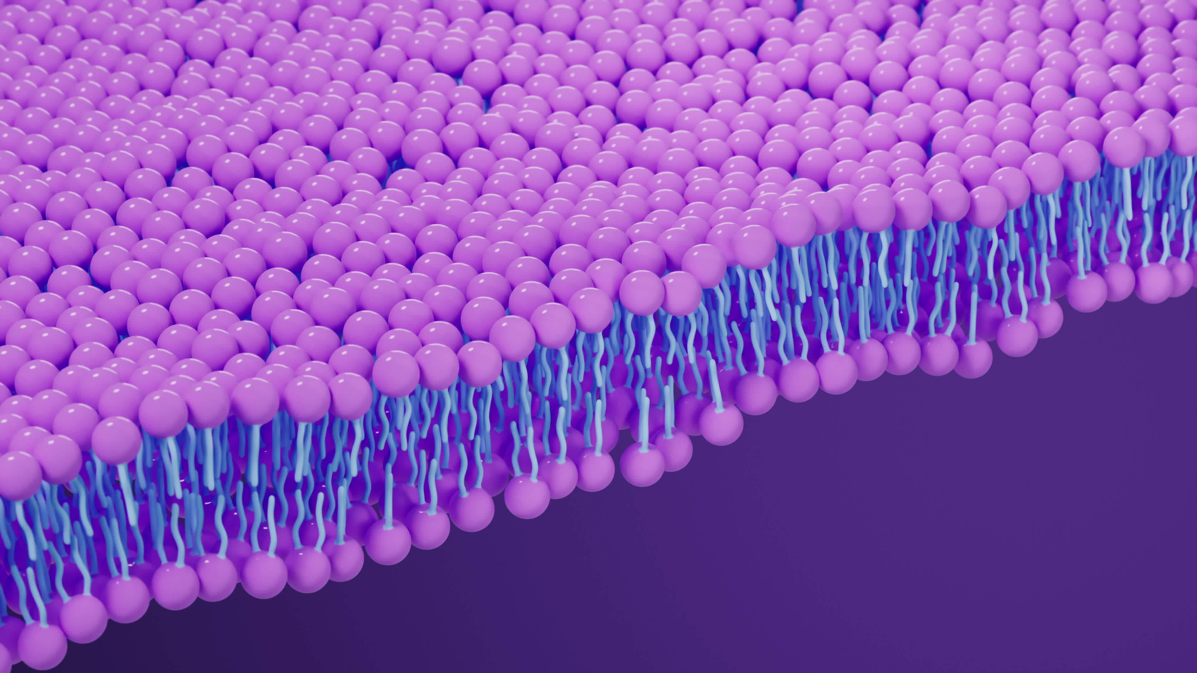Cell Membrane Structure Background 3d Rendering 27826123 Stock Video At Vecteezy