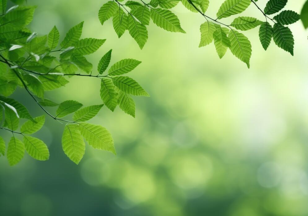Green Stock Photos, Images and Backgrounds for Free Download