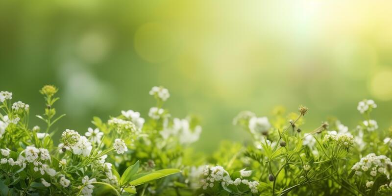 Spring Nature Background Stock Photos, Images and Backgrounds for Free ...