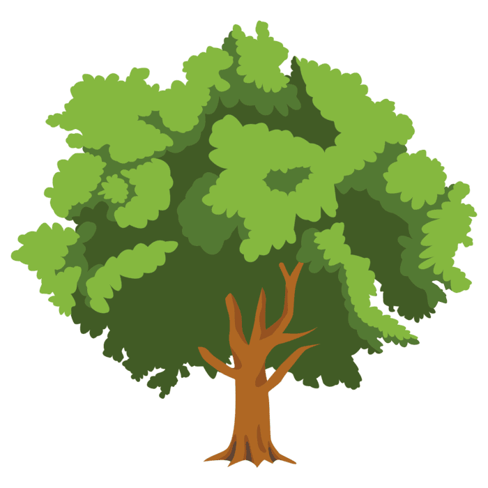 2d Tree PNGs for Free Download