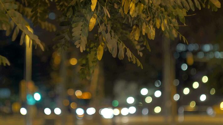 Bokeh Barat Full Hd Stock Video Footage for Free Download