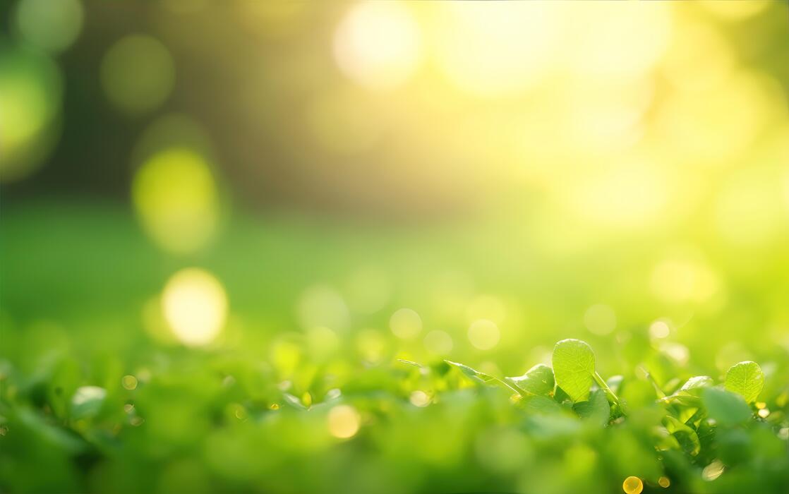 Happy Green Stock Photos, Images and Backgrounds for Free Download