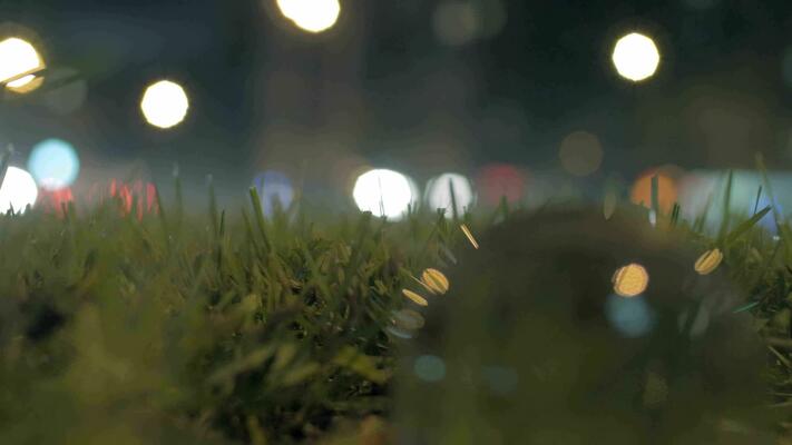 Bokeh Barat Full Hd Stock Video Footage for Free Download