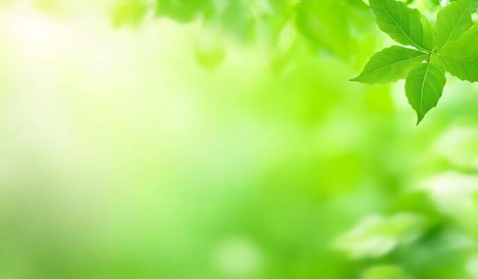 Fresh Green Background Stock Photos, Images and Backgrounds for Free ...