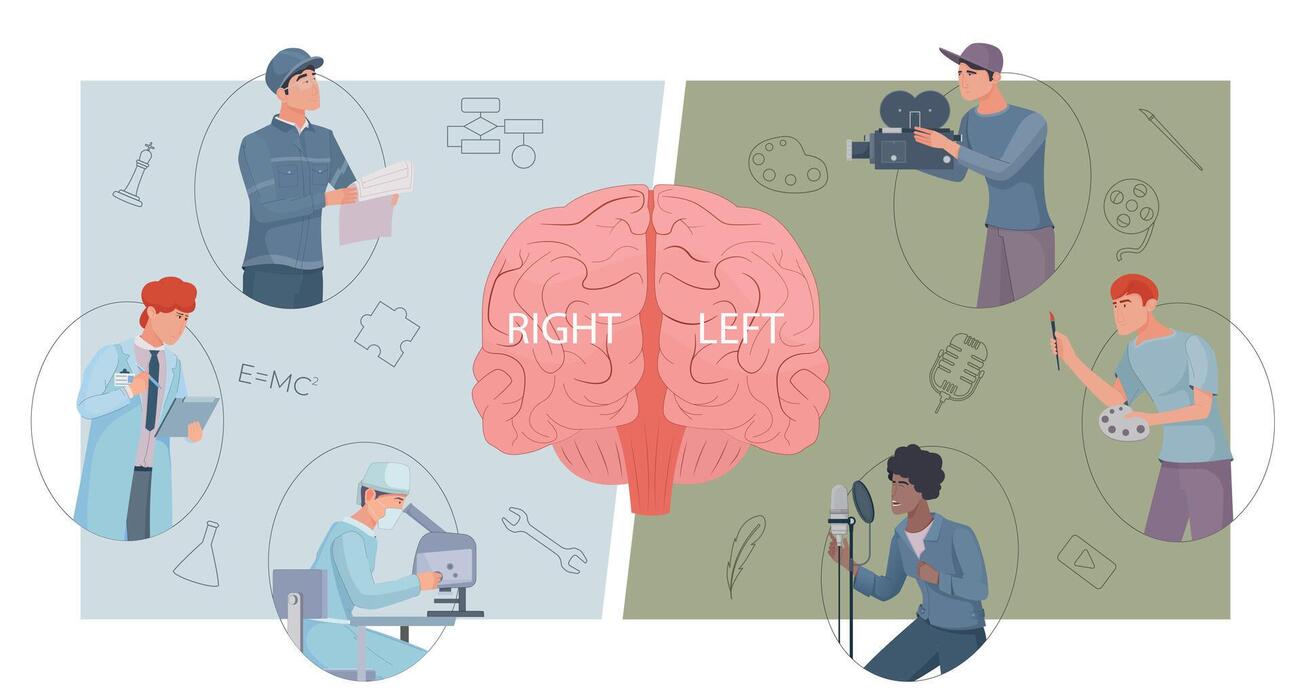 Left And Right Brain Vector Art, Icons, and Graphics for Free Download