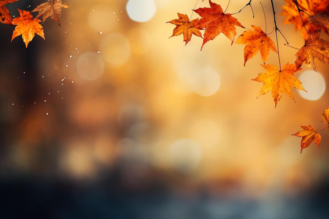 Fall Wallpaper Stock Photos, Images and Backgrounds for Free Download