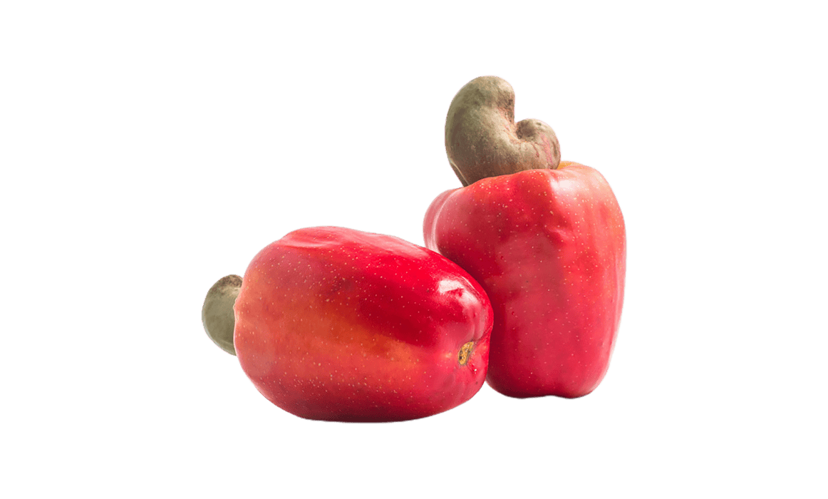 Cashew Fruit PNGs for Free Download