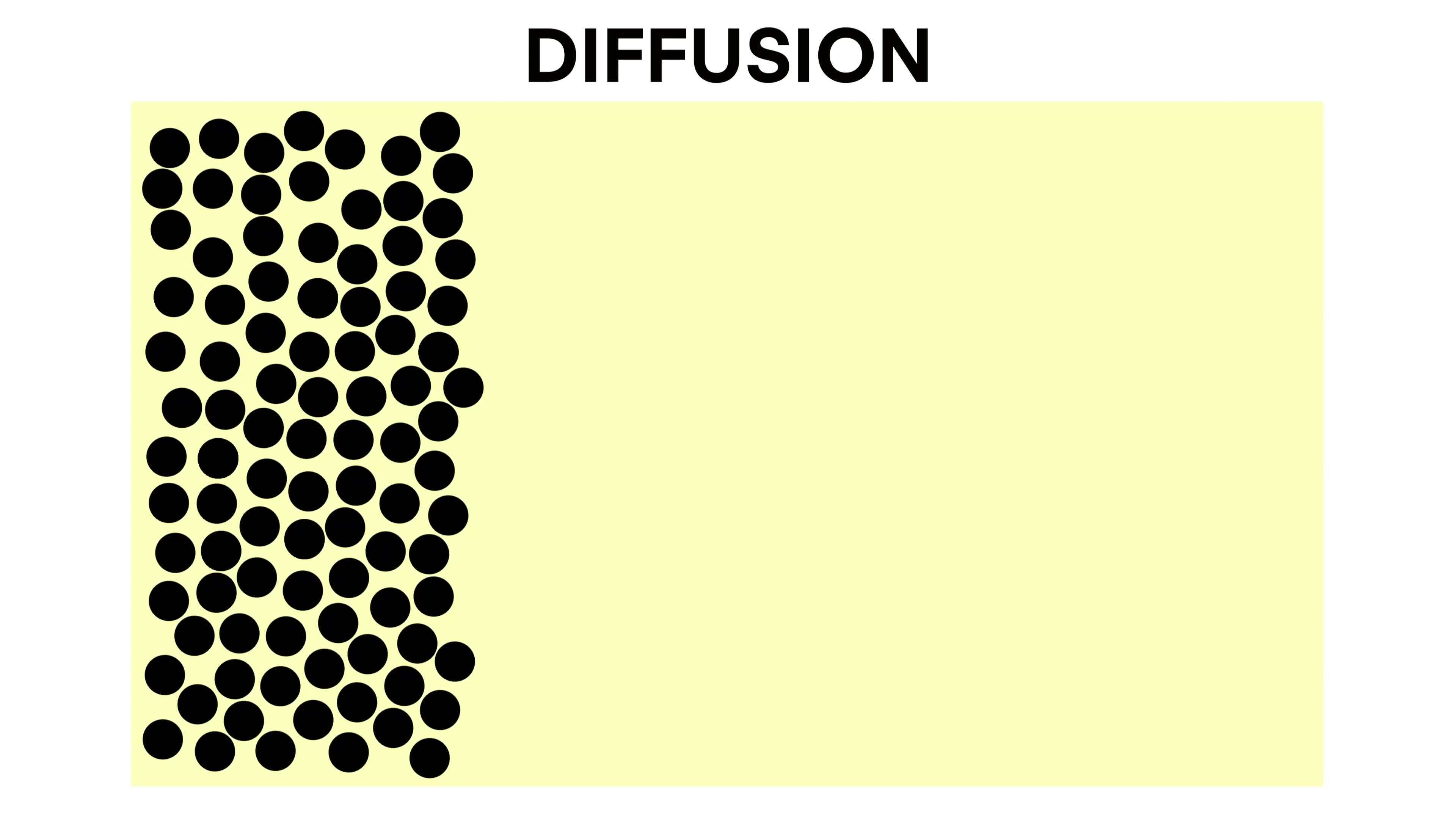 Diffusion Movement Of Molecules Ions And Atoms From An Area Of Higher Or High Concentration