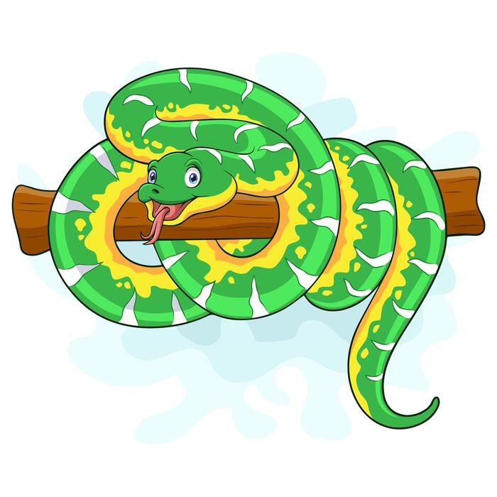 Snake On Branch Vector Art, Icons, and Graphics for Free Download